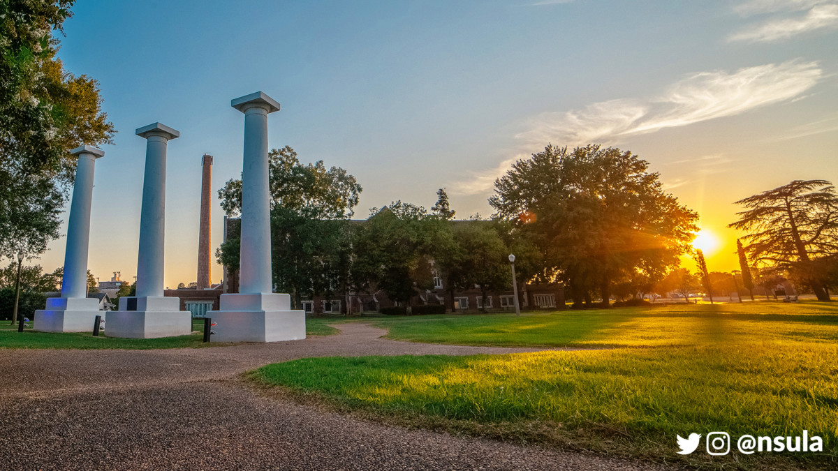 Virtual Backgrounds | NSULA