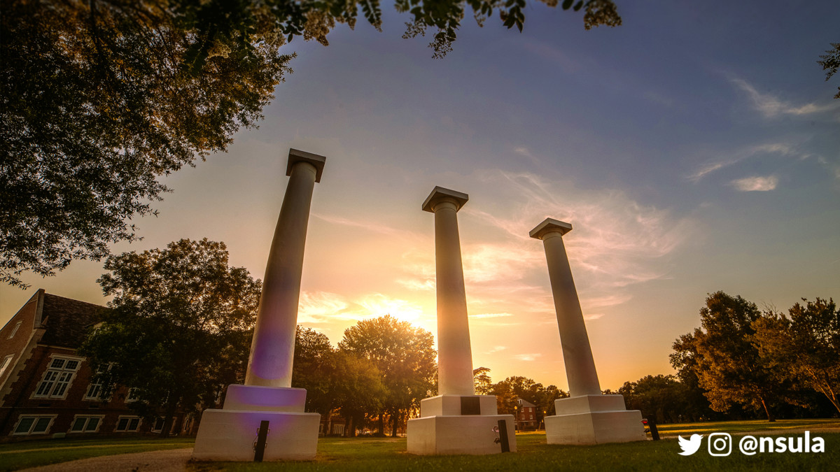 Virtual Backgrounds | NSULA