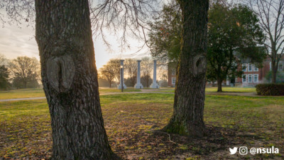 Virtual Backgrounds | NSULA