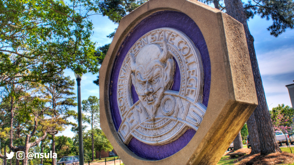 Virtual Backgrounds | NSULA