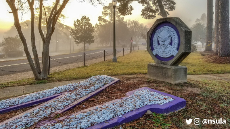 Virtual Backgrounds | NSULA