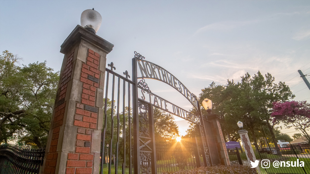 Virtual Backgrounds | NSULA