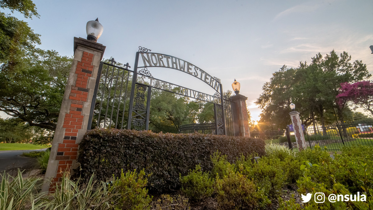 Virtual Backgrounds | NSULA