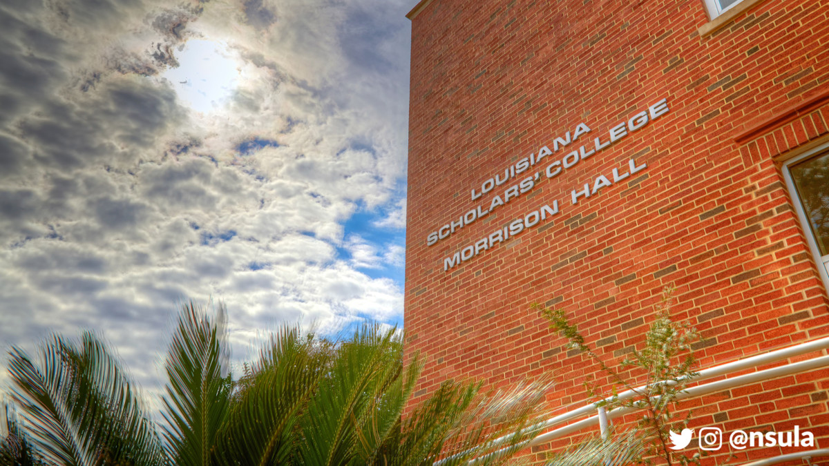 Virtual Backgrounds | NSULA