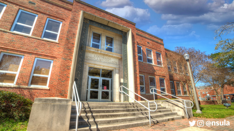 Virtual Backgrounds | NSULA